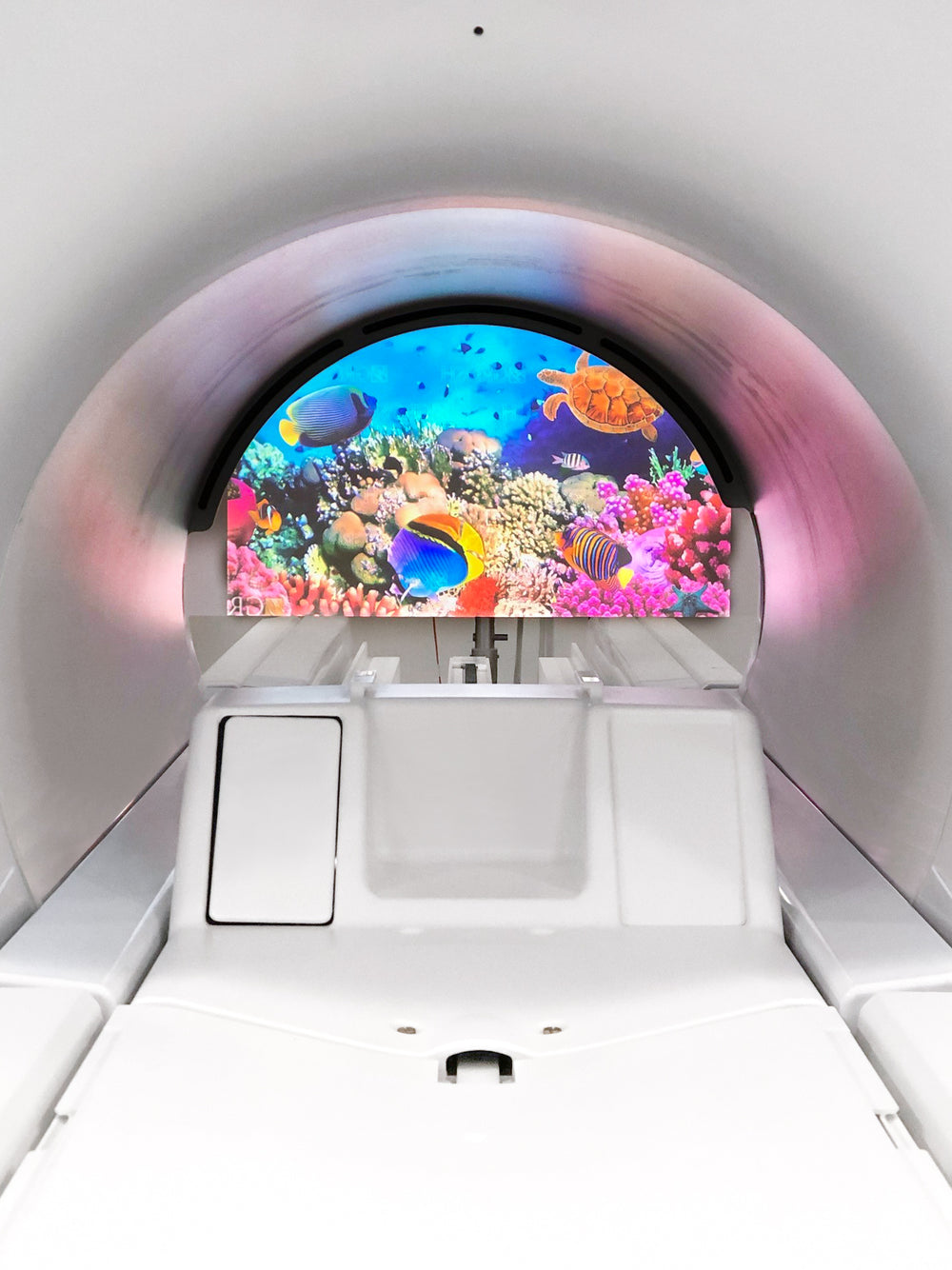 Silent Vision® | fMRI Visual Solution – Avotec